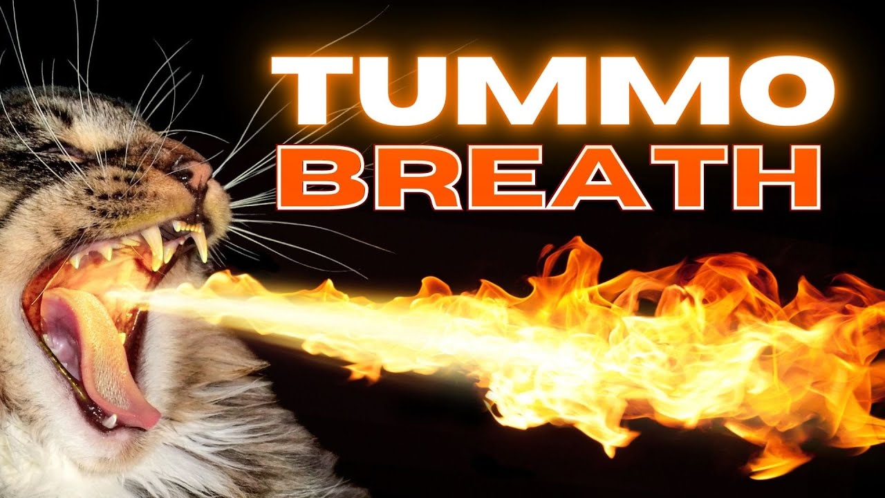 TUMMO BREATHING | Inner Fire Technique (guided tutorial) - YouTube