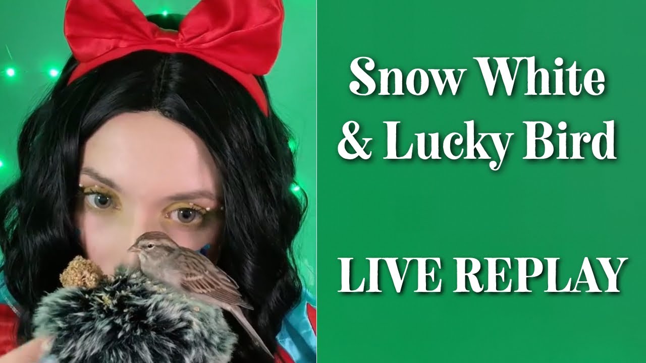 SNOW WHITE ROLEPLAY ASMR LIVESTREAM REPLAY | November 11th 2022 - YouTube