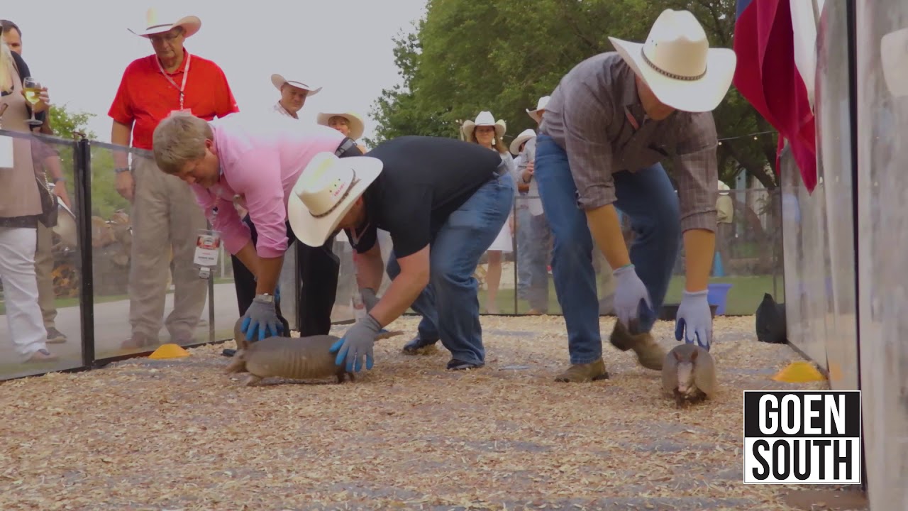 Armadillo Racing - YouTube