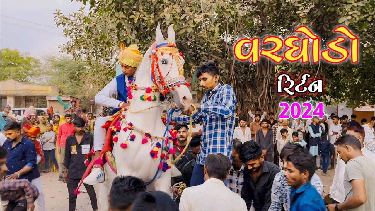 live varghodo | varghodo return | gujarati varghodo | વરઘોડો | ghodi ...