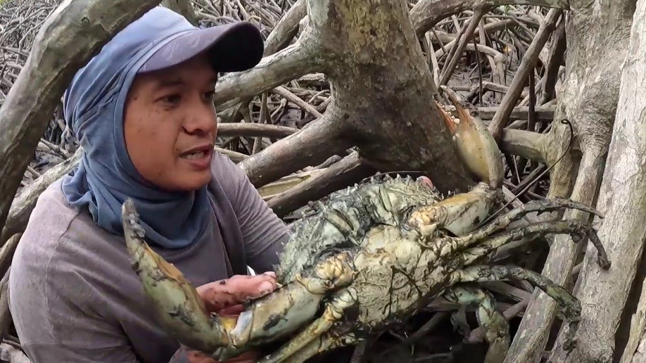 Ep. 247 Mudcrab Hunting Ulit kami! Pero Biglang Nag Dilim ang Bakhawan ...