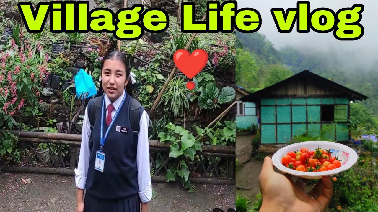 Village Life vlog ️ || Rural life in Sikkim Village vlog - YouTube