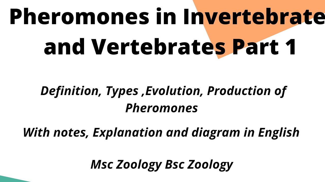 Pheromones in Vertebrates and Invertebrates - YouTube