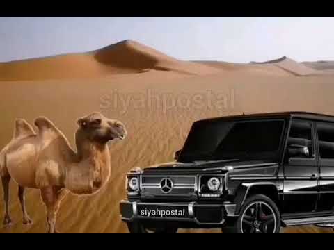 Hz.Muhammed ve Hz.İsanın çölde geçen muhteşem sohbeti