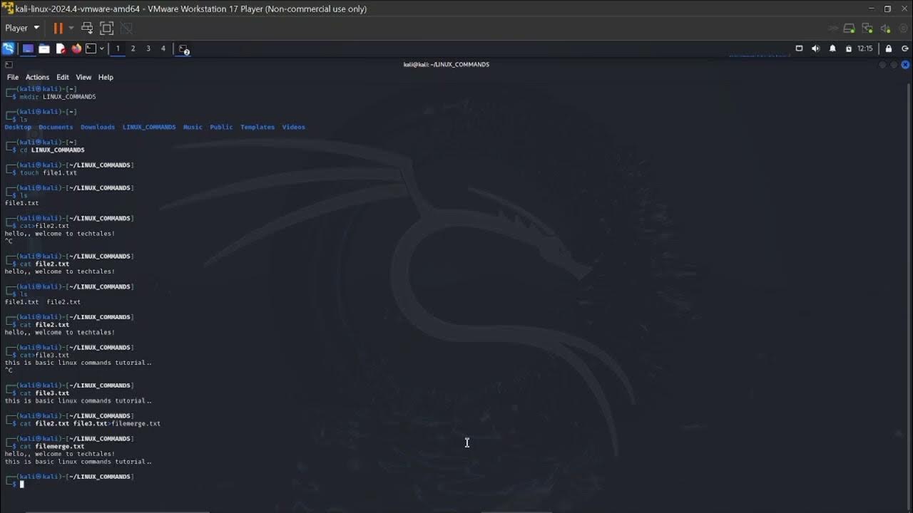 Basic Linux Commands - YouTube