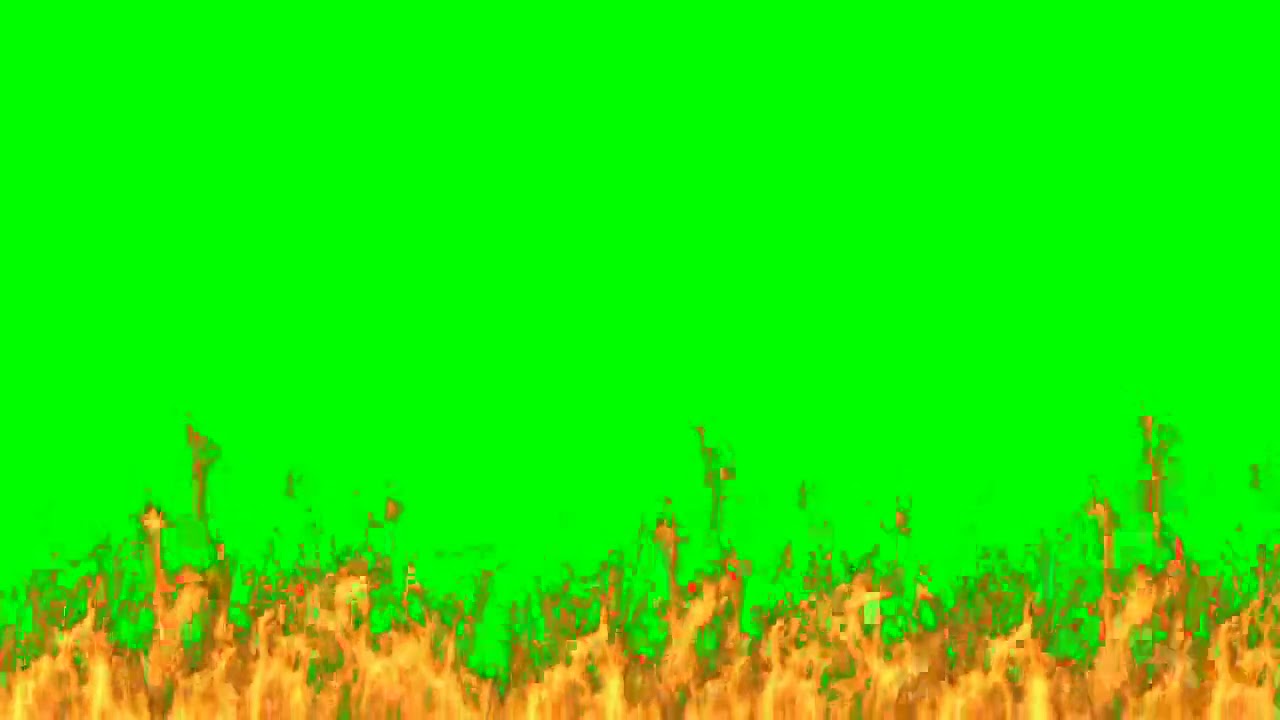 Fire 🔥Green screen HD video || Green screen fire effect HD video - YouTube