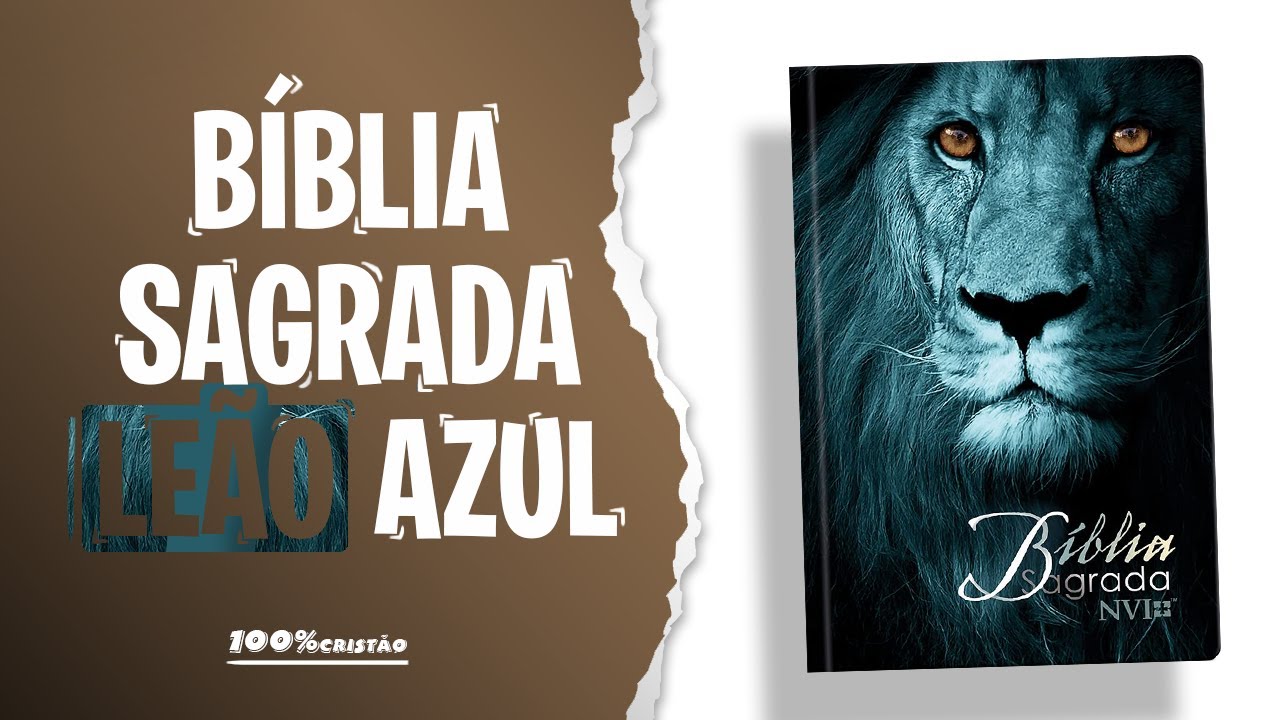Bíblia Sagrada NVI, Leão Azul - Capa Dura • Livraria 100% Cristão - YouTube