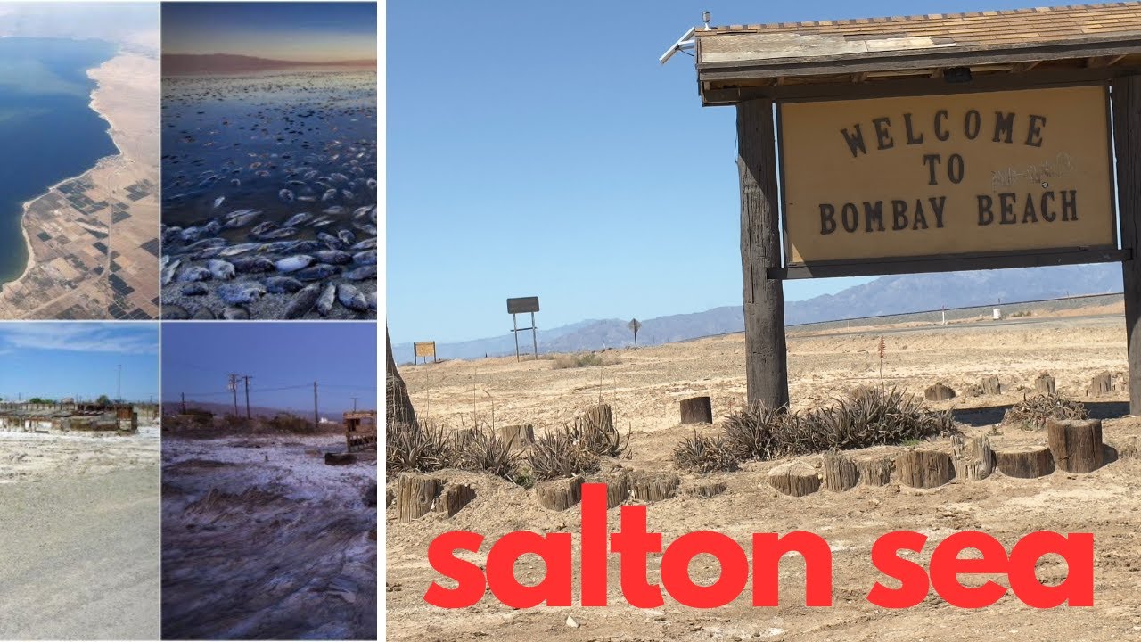 Explore Salton Sea: Activities, Hot Springs, and Pet-Friendly Hotel ...