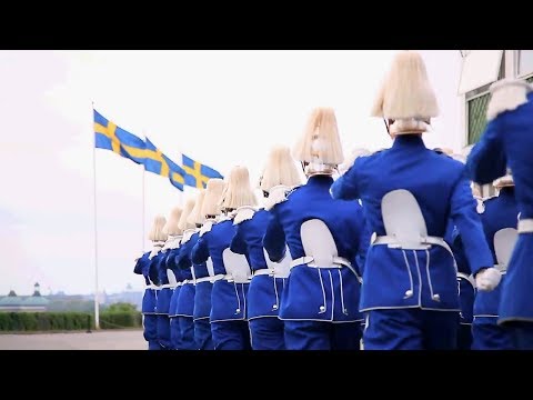 Swedish Military Parade