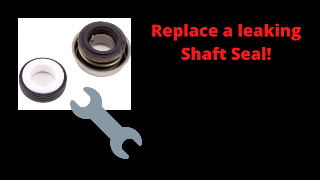 How To Replace a Shaft Seal On a Reeflo Pump - YouTube