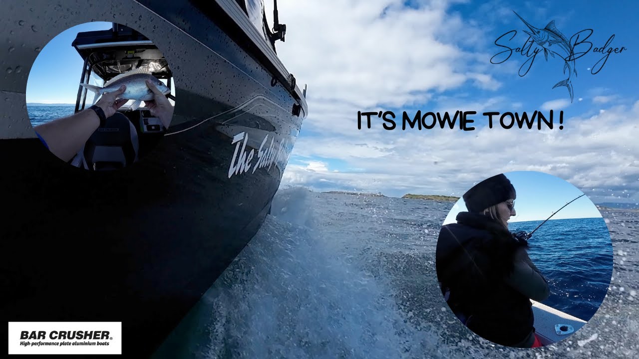 Glass Out Fishing Off Wollongong | Barcrusher Mission with Blue Morwong ...