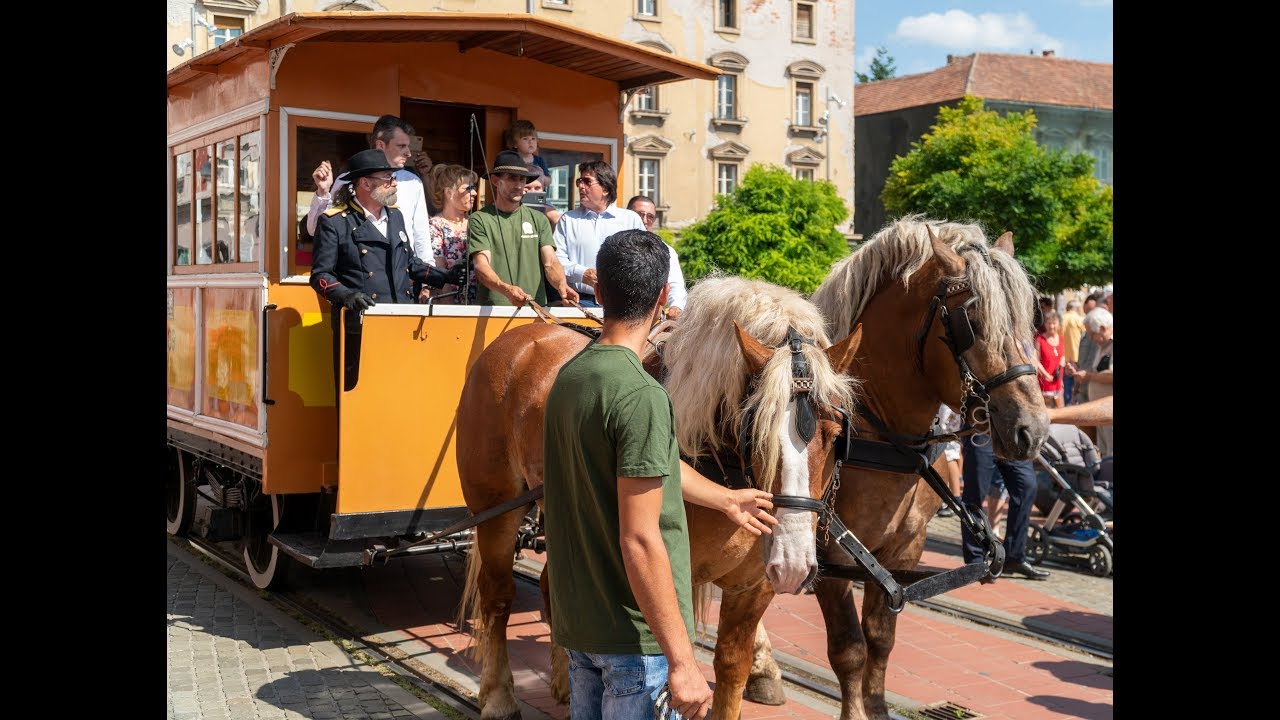[4K] 150 de ani de transport public in Timisoara - Parada tramvaielor ...