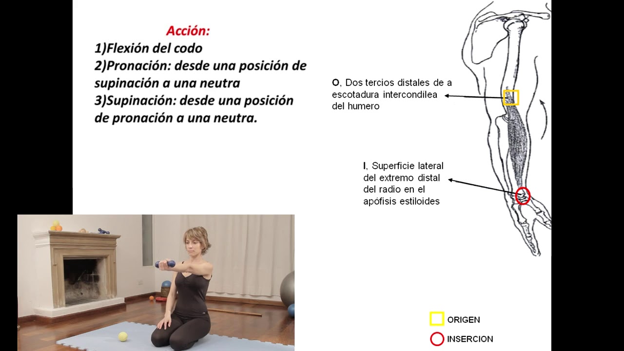 Biomecanica Del Codo