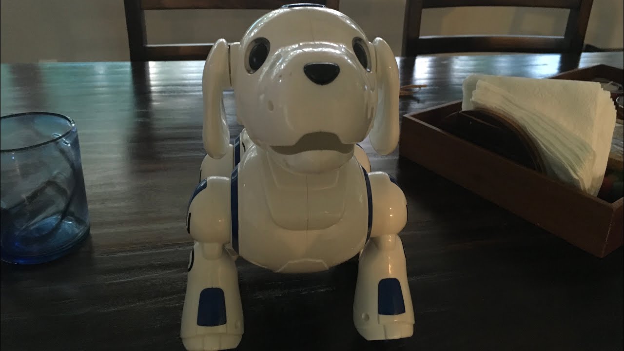 Rusty reacts to Rick the robot dog! 🐶😂 (He is crazy! 🐶😆) (Sorry I ...