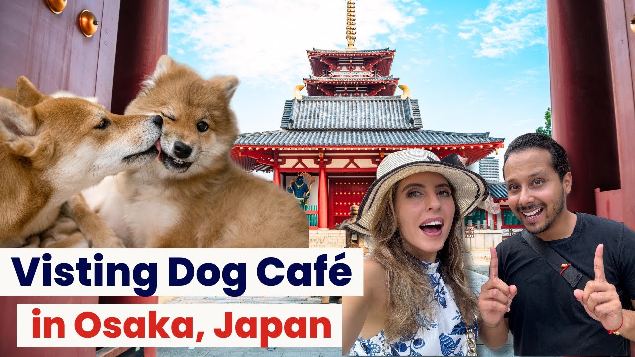 Must-Visit Spots in Osaka - Exploring a Dog Café in Japan 🇯🇵 - YouTube