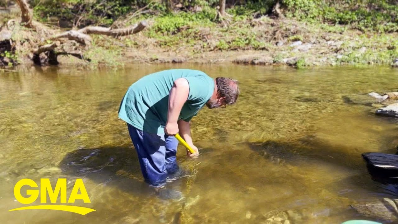 American River Gold Rush