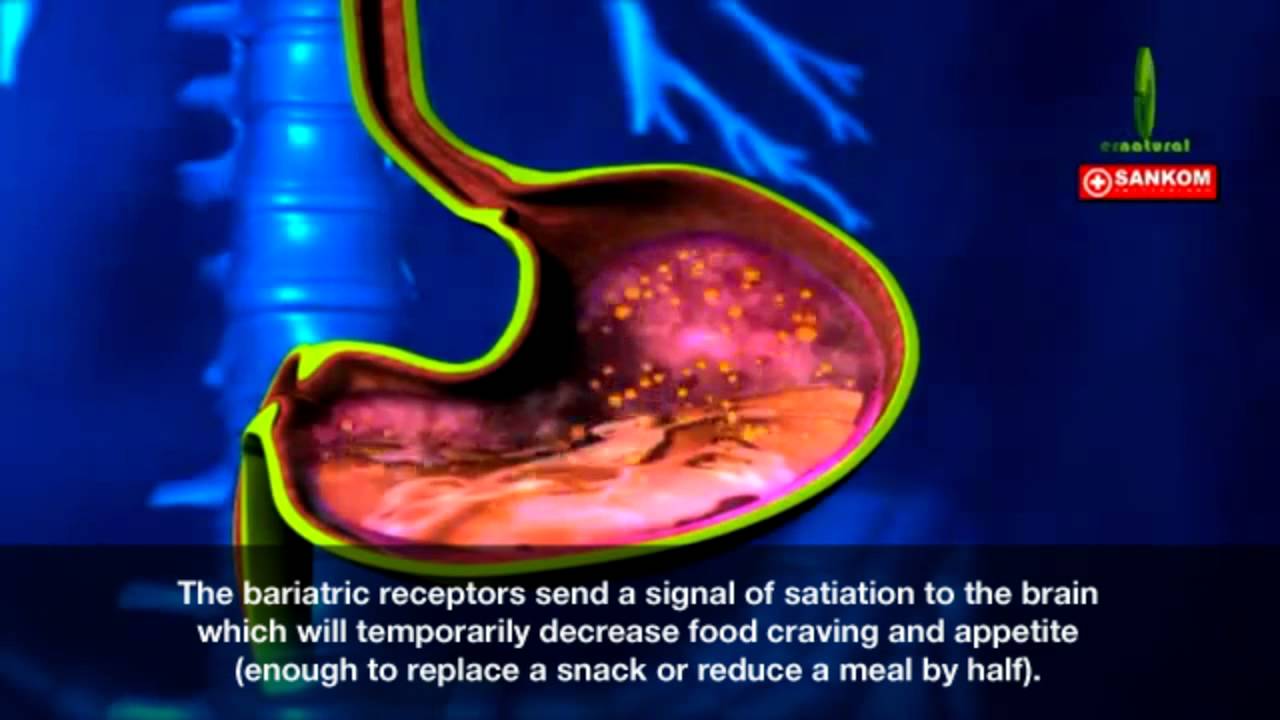 How SANKOM® Swiss Diet Kit™ Works - YouTube