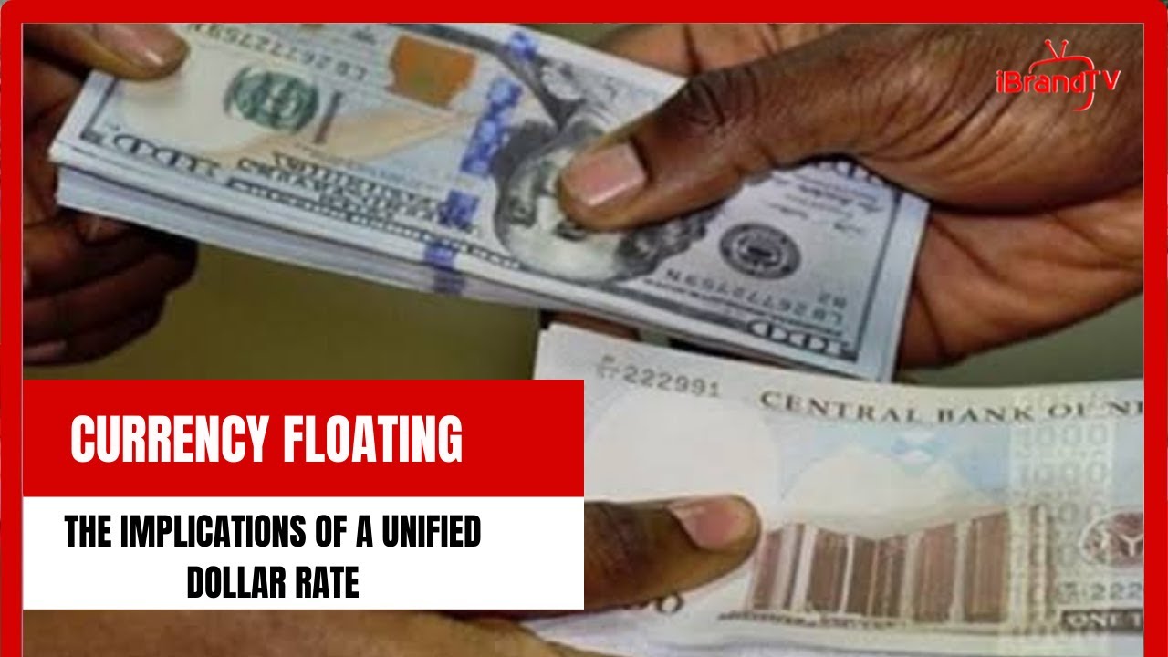 Currency Floating: The Implications Of A Unified Dollar Rate - YouTube