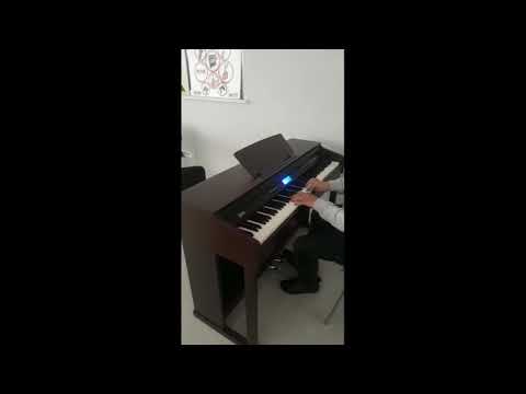 jwin Jdp-3000 çekiç aksiyonlu piyano