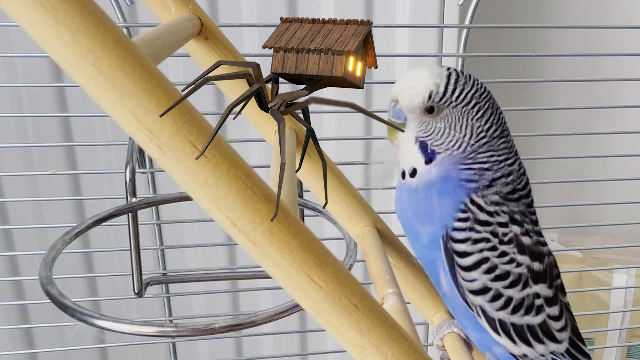 Sam - little House Head. Season - 01 (episode 1,2,3) - YouTube