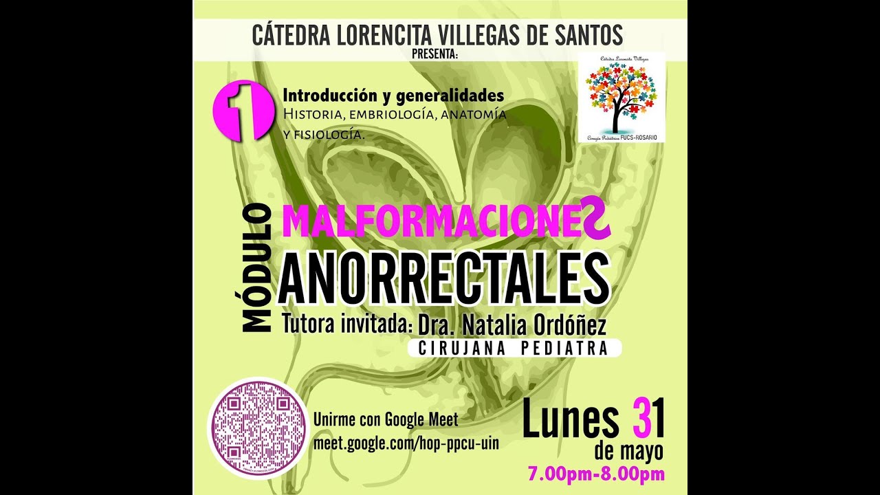 Malformaciones anorrectales .Embriología, anatomía - YouTube