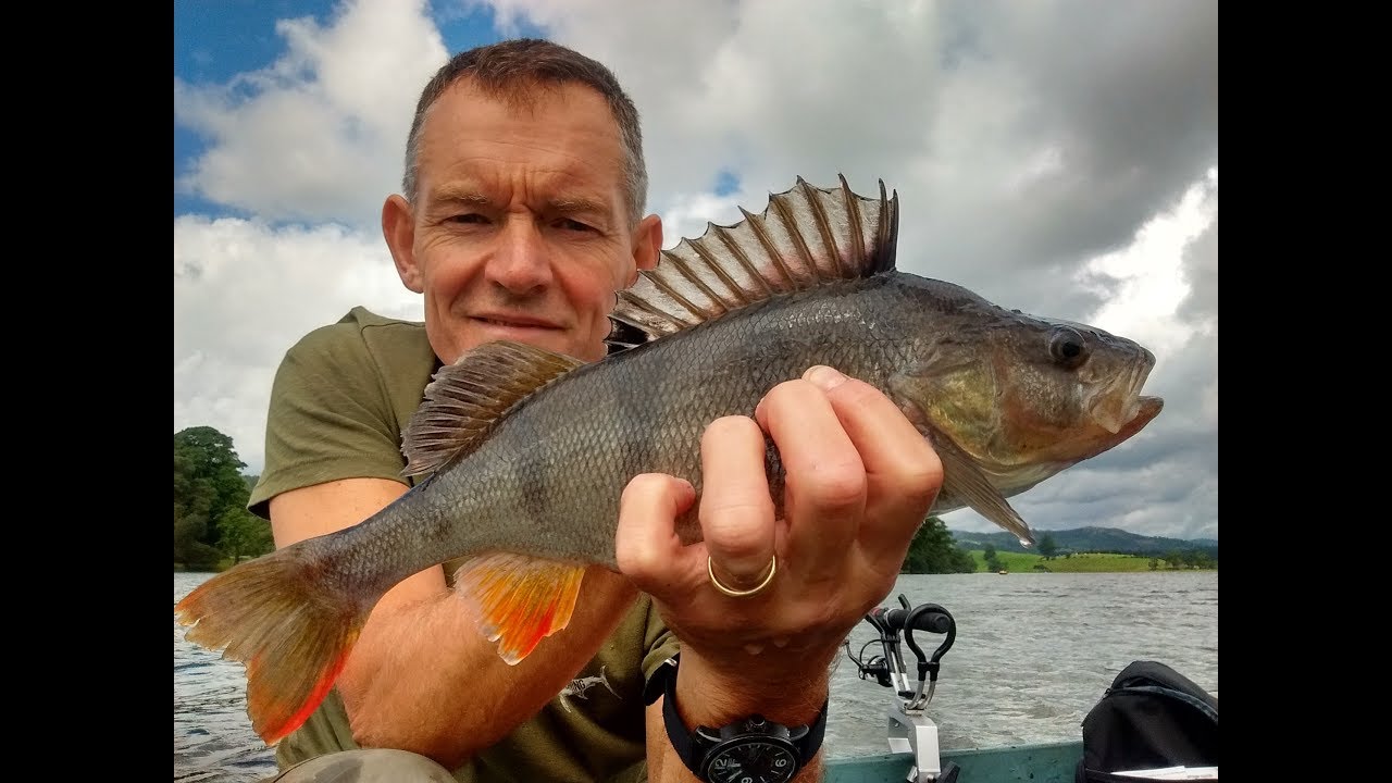 Drop Shotting for Perch in the English Lake District - YouTube