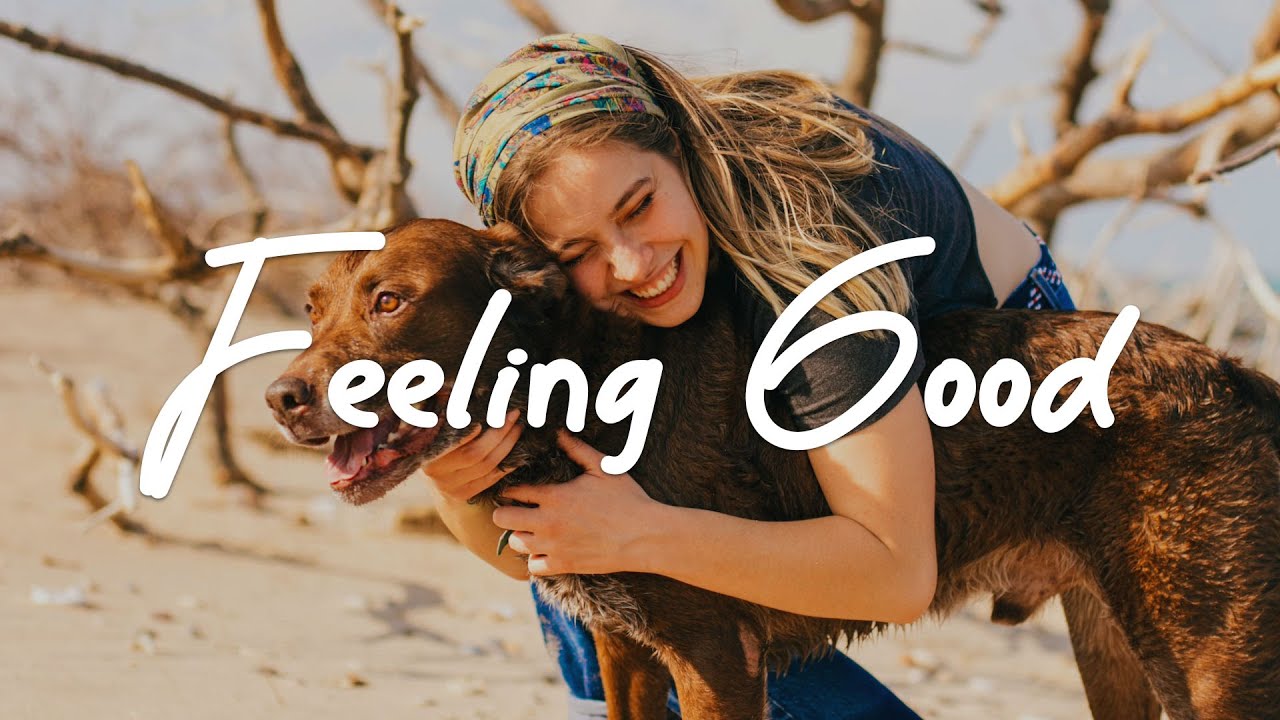 Feeling Good Just a happy playlist to make your day happy | Acoustic ...