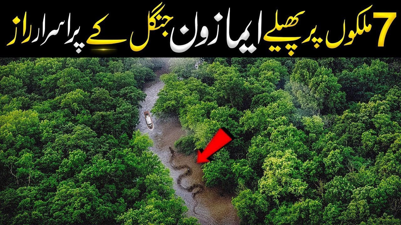 Secrets of the Amazon Rainforest | Amazing Discoveries - YouTube