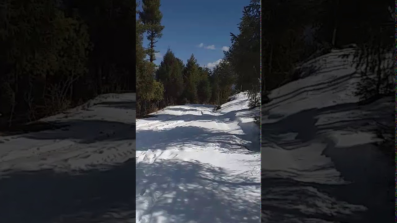 Chelala pass kingdom of Bhutan - YouTube