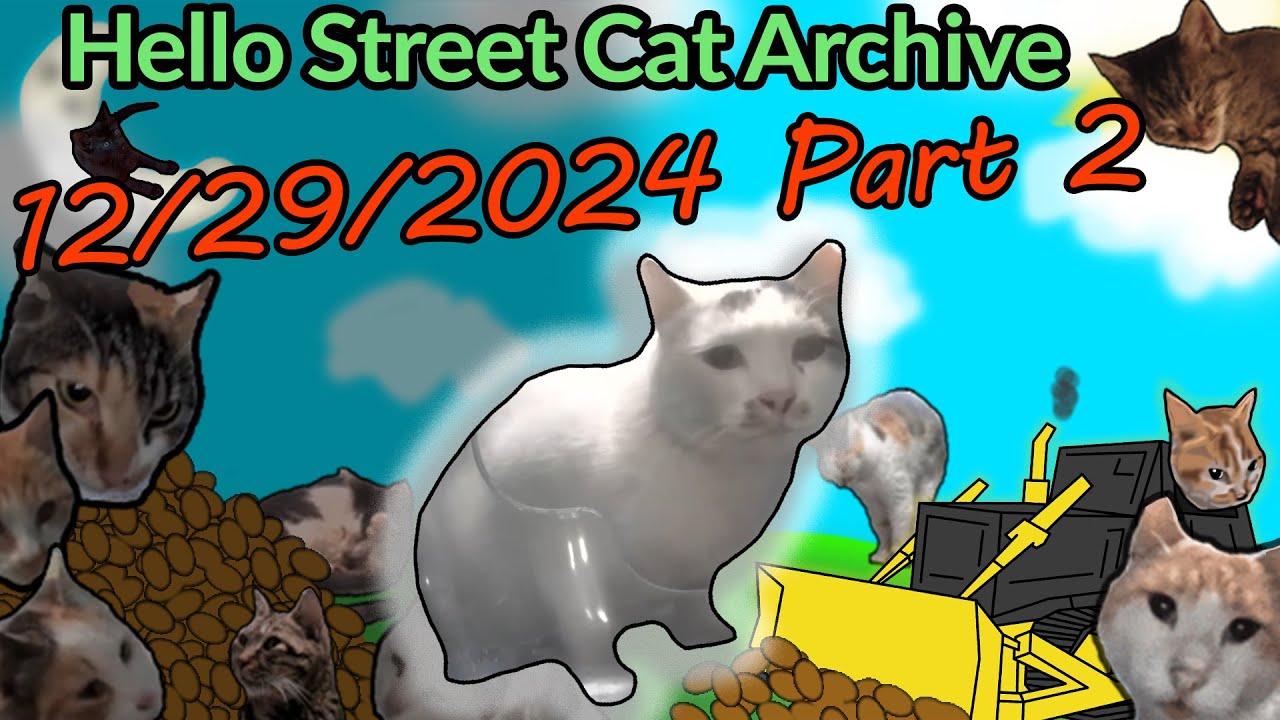 Mr. Dao Visits Baldie Carrot Cat Guardian! Hello Street Cat Archive 🐈😸 ...