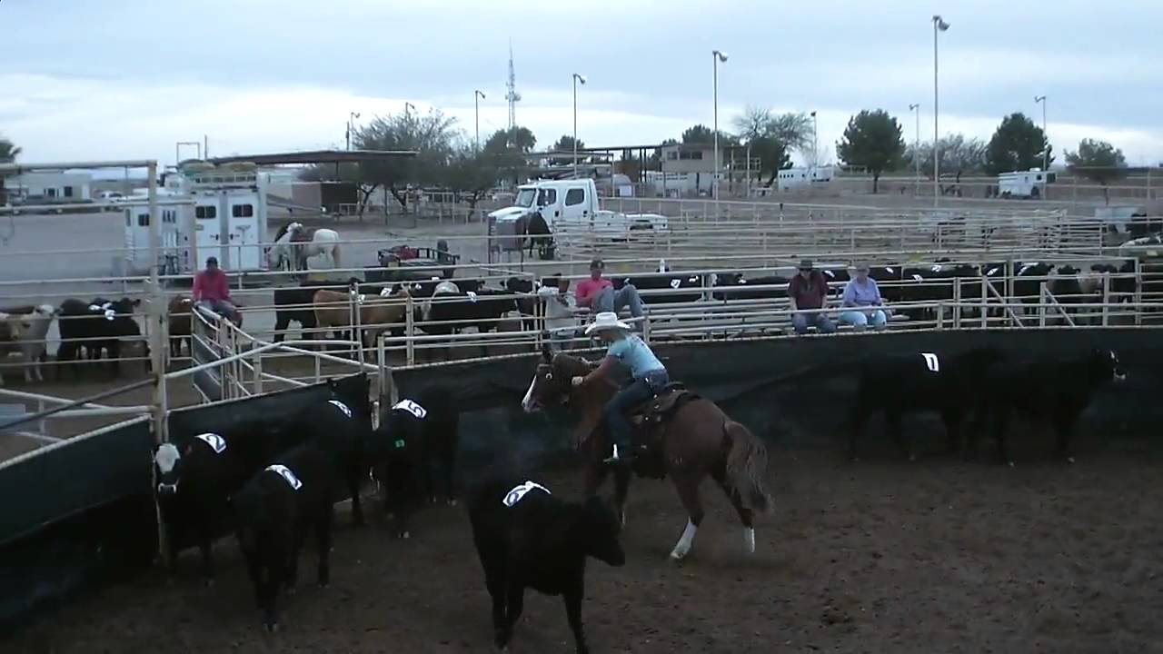 Super Stakes Sort 4 - #5 HC - Round #1 - Ride #13 - YouTube