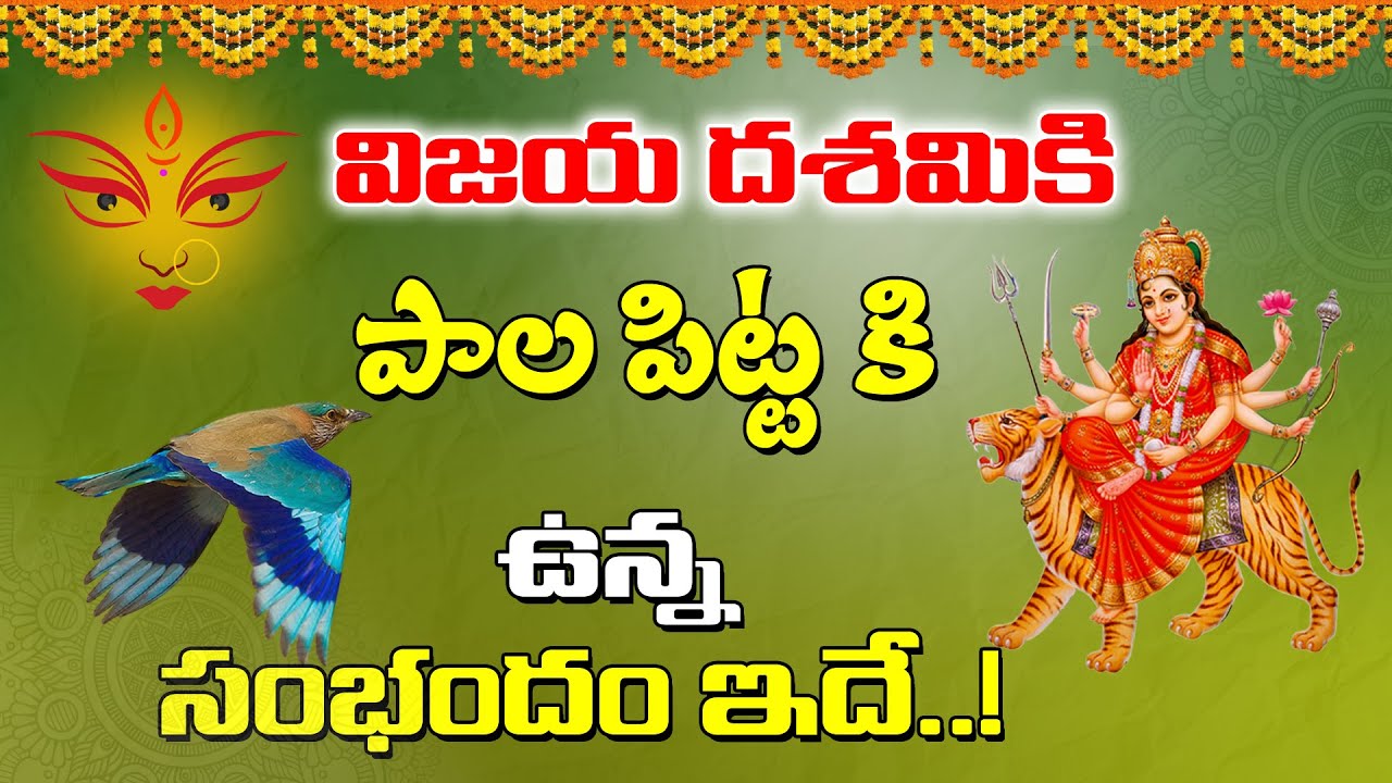 Importance of Pala Pitta On Dasara | Pala Pitta On Vijayadashami 2020 ...