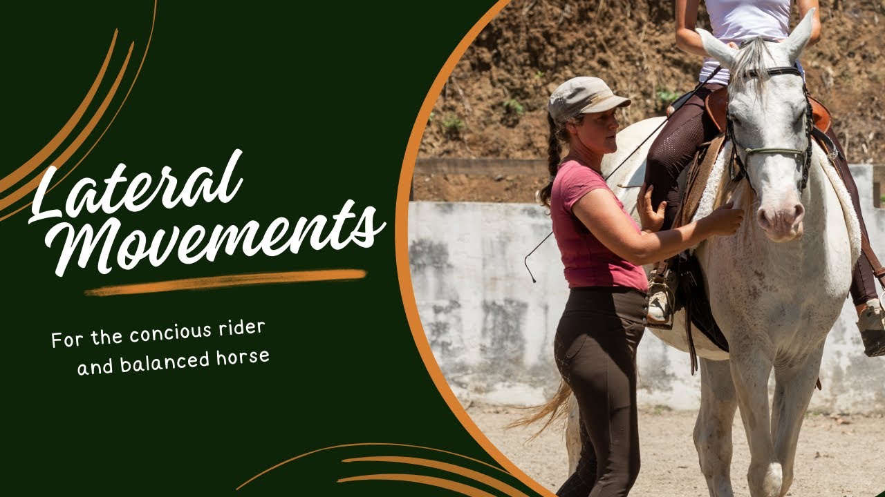 Seamless Transitions in Lateral Movements. From Shoulder-In to Travers ...