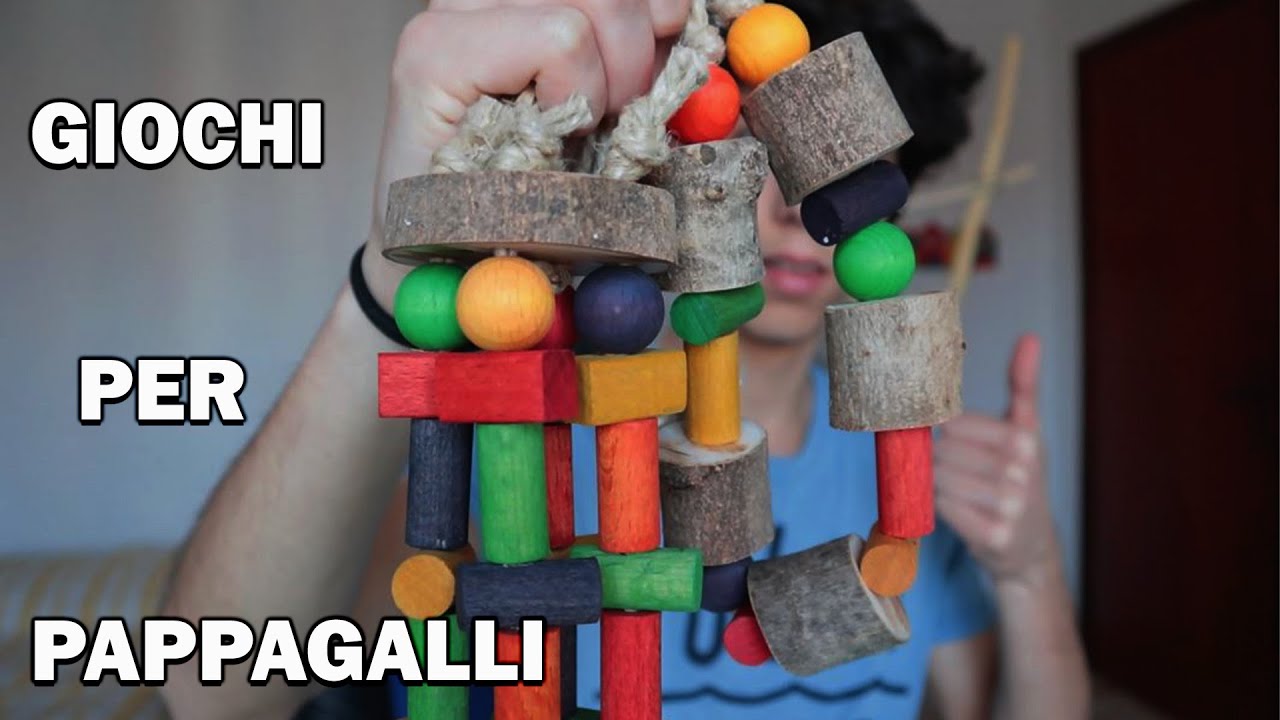 GIOCHI per PAPPAGALLI. Quale è il GIOCO PERFETTO per il Tuo PAPPAGALLO ...