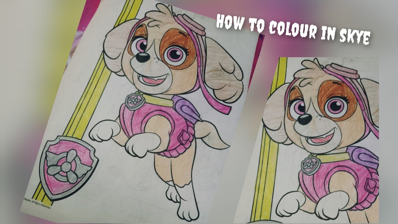 how to colour the skye# colouring in skye easy colours - YouTube