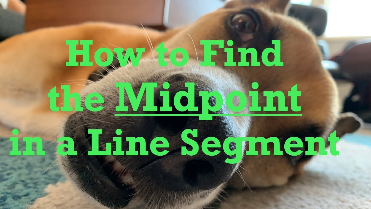 How to Find the Midpoint of a Line Segment - YouTube