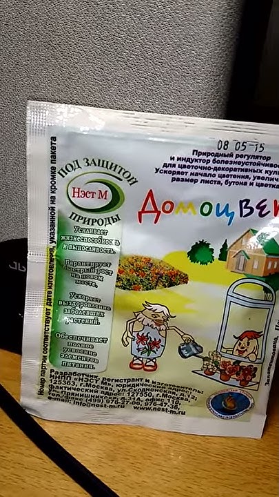 ДОМОЦВЕТ - YouTube