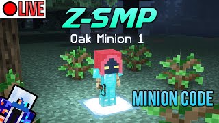More Minion Code ★ A Minecraft Z-SMP Survival Private S... | Doovi