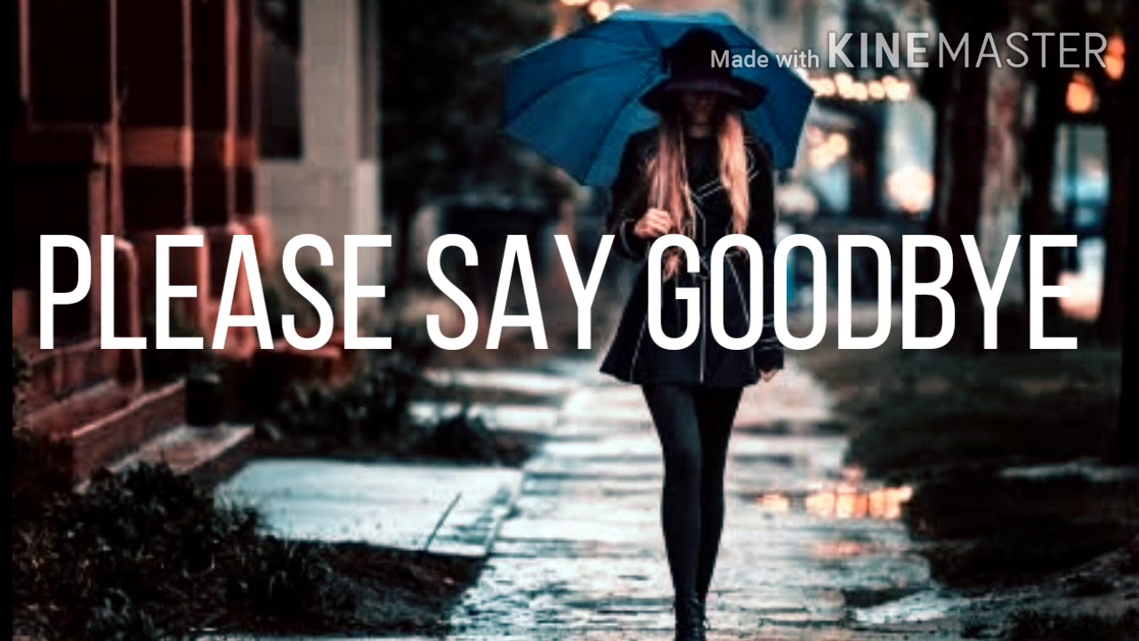 Aaron Shirk, Ehallz, and Paper Skies - Please Say Goodbye (Lyrics ...