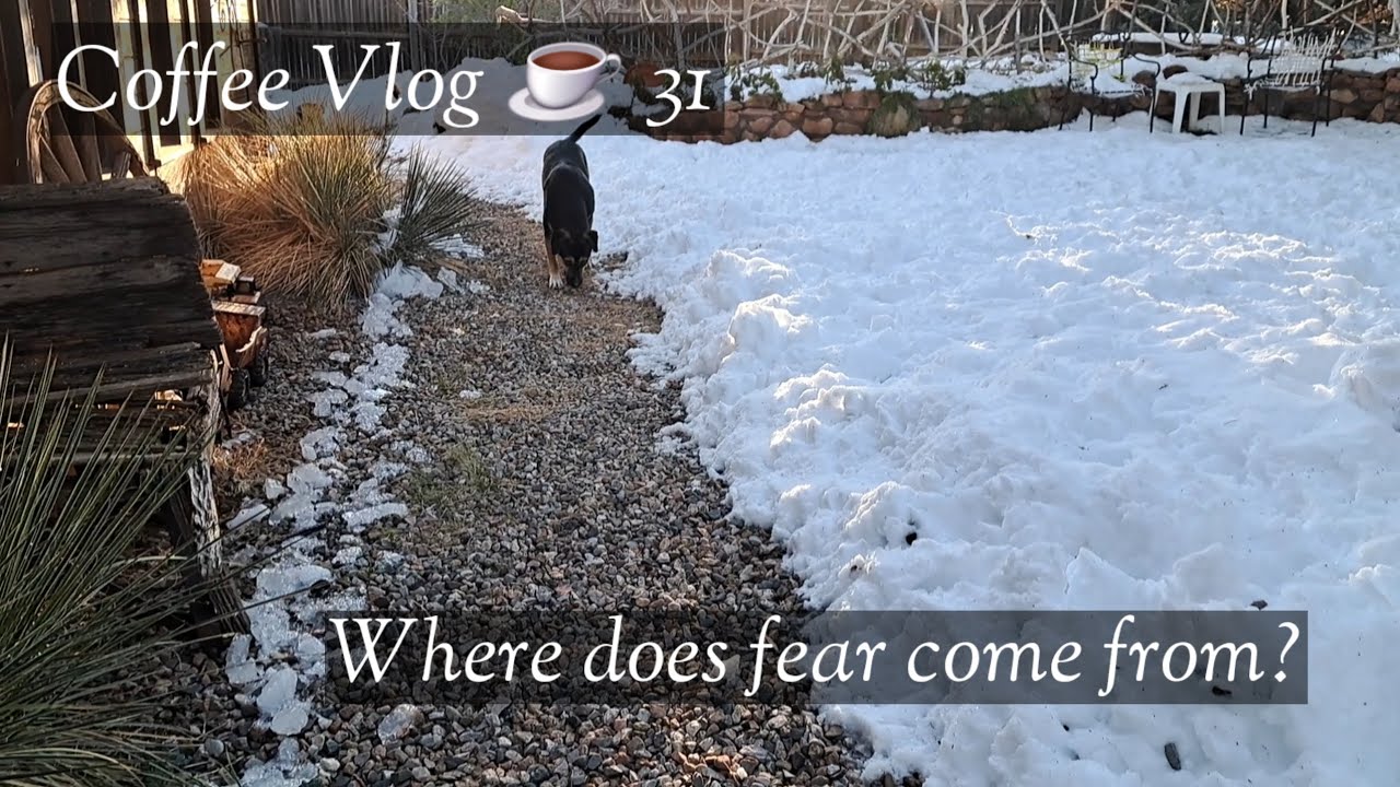 Coffee Vlog 31 ☕️ Where does fear come from? - YouTube