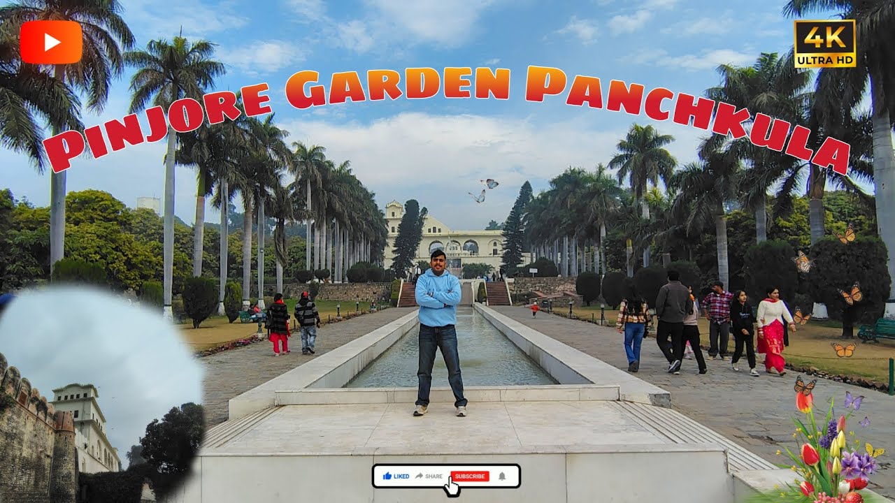 Pinjor Garden Panchkula || Yadavindra Garden || hidden Place - YouTube