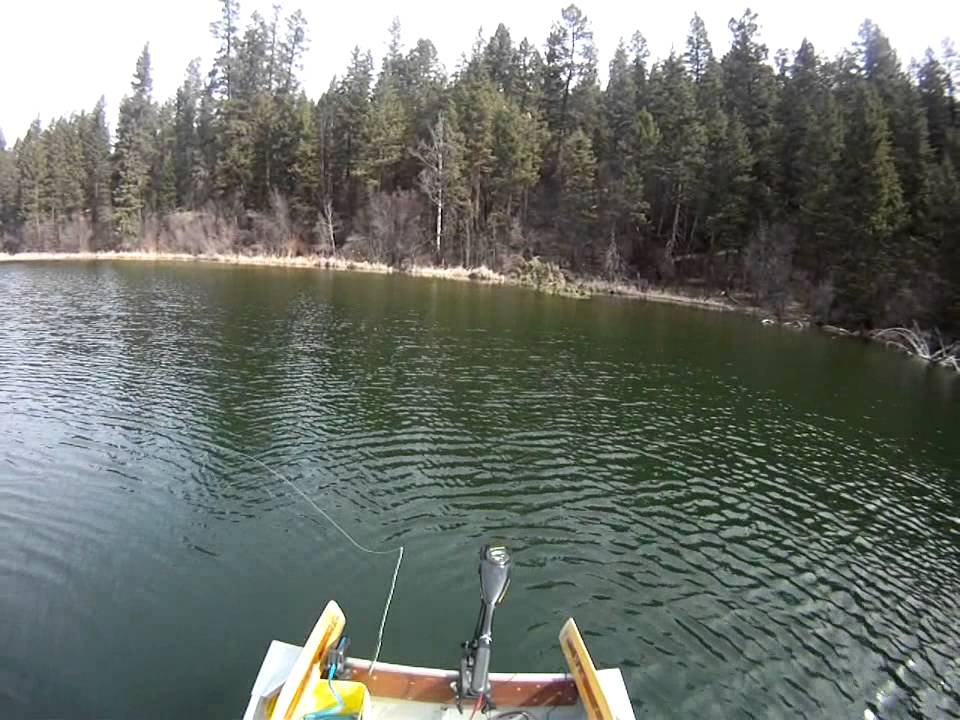 First Fish On Z-Axis 6wt. - YouTube