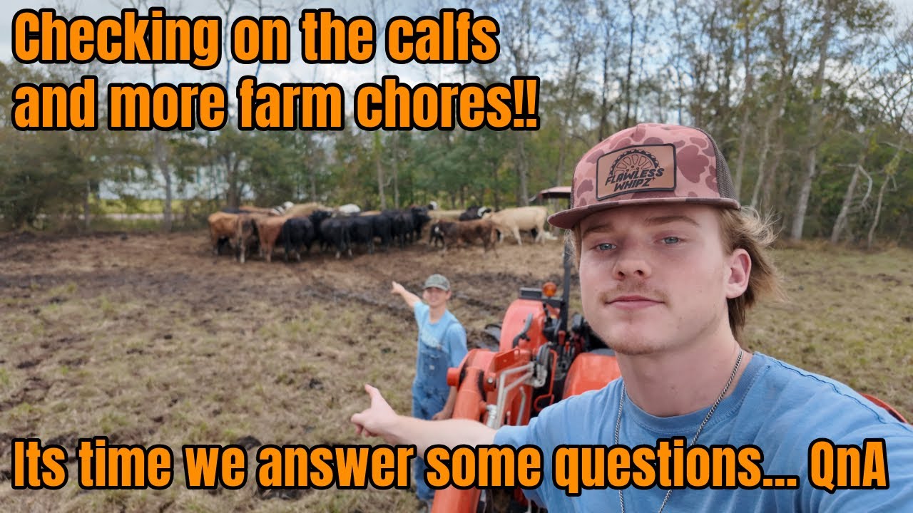 Completing DAILY Farm Chores | QNA!!! - YouTube