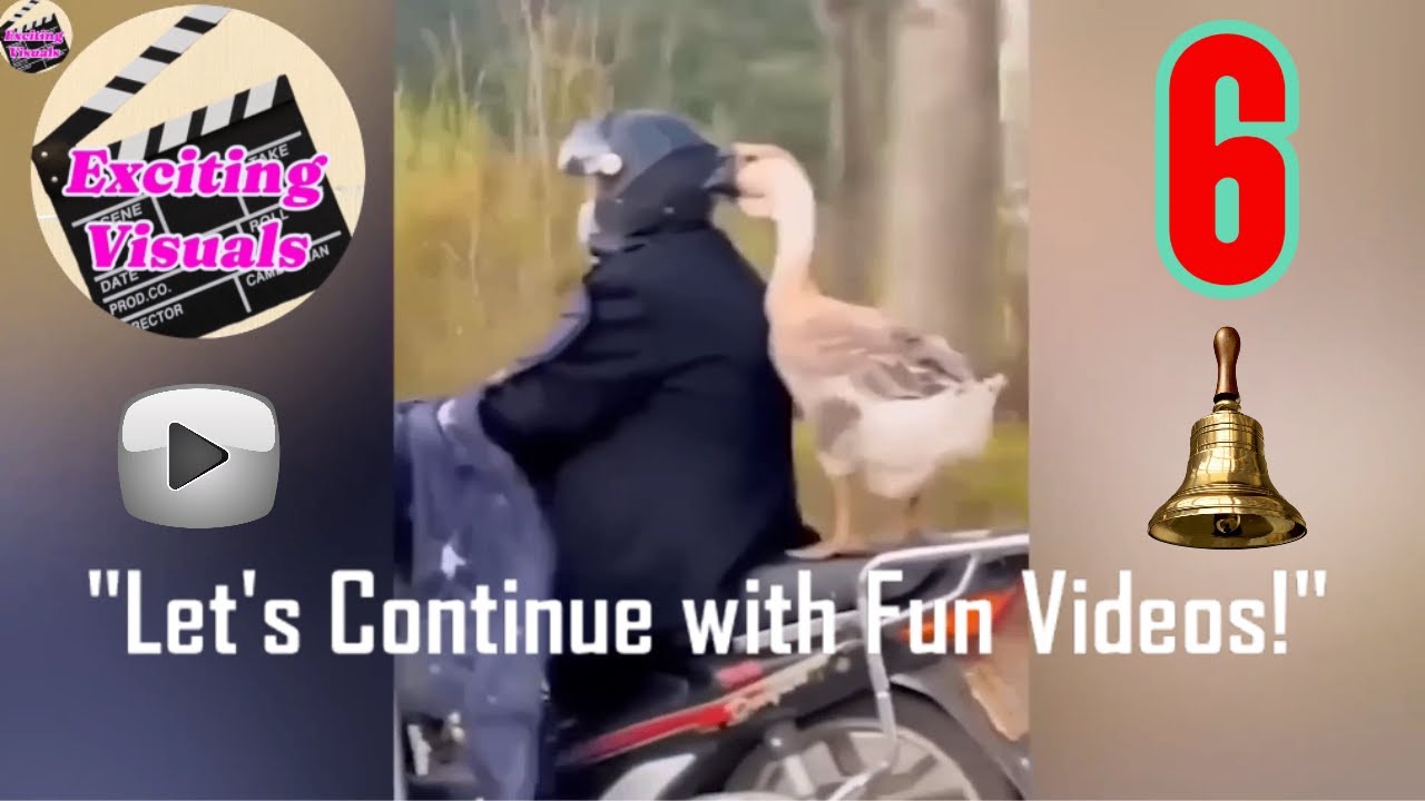 Let's Continue with Fun Videos! - YouTube