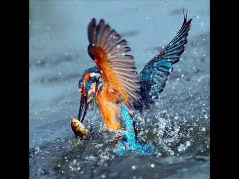 Masalların Masalı/Su Başında Durmuşuz-Nazım Hikmet RAN