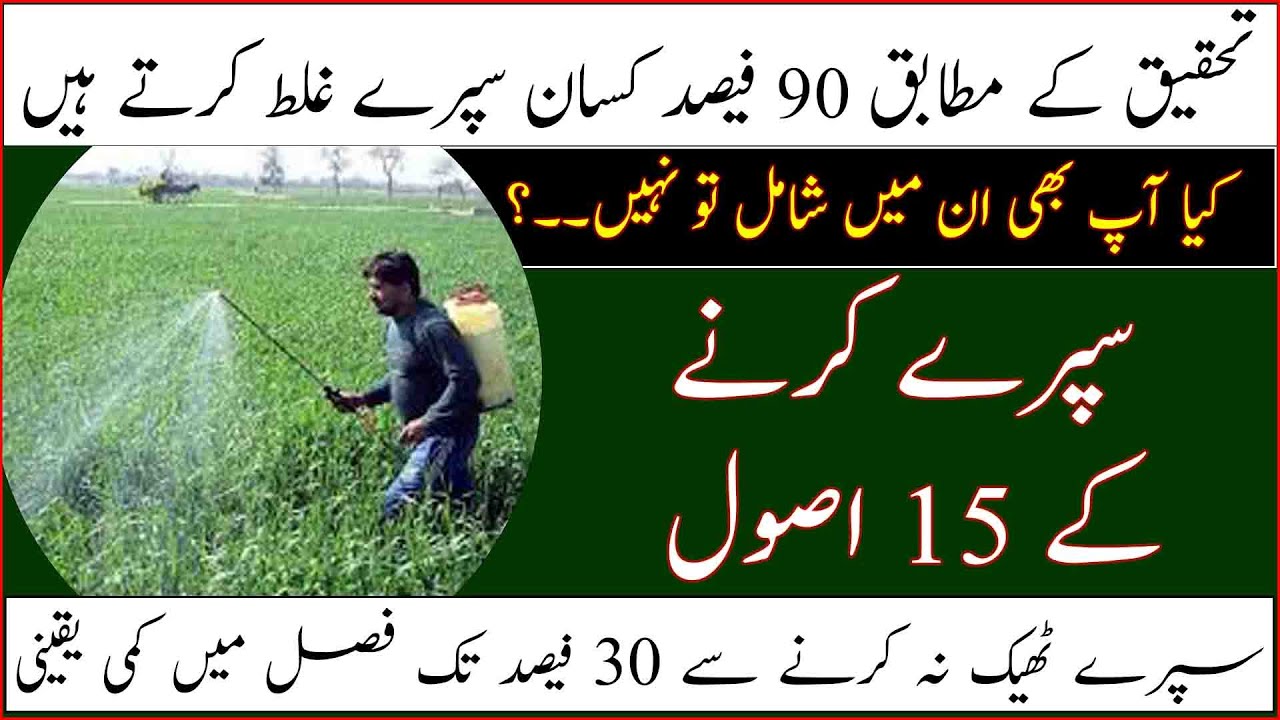 How to do pesticides weedicides NPK sprays|Right practice of spray on ...
