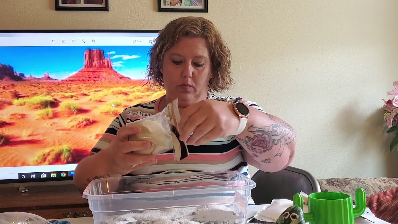 Desert sensory box - YouTube
