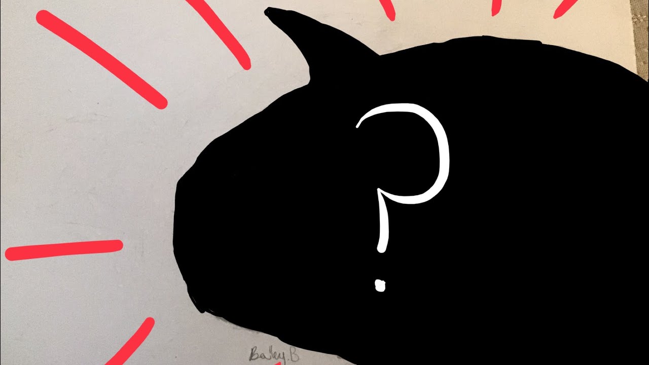 HYPER REALISTIC CARNOTAURUS DRAWING!! | carno - YouTube