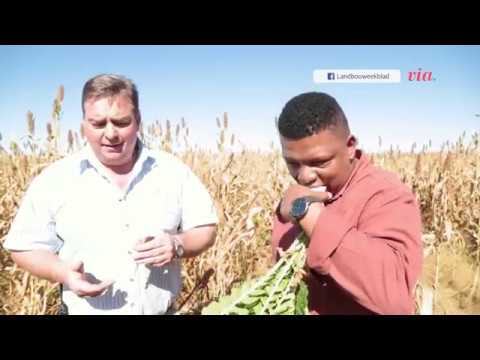 Cobus van Coller klop erosie met geenbewerking! - YouTube