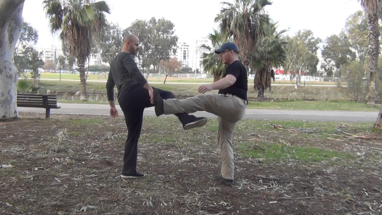 Sharon Friedman The butterfly fart How to fight without fighting - YouTube